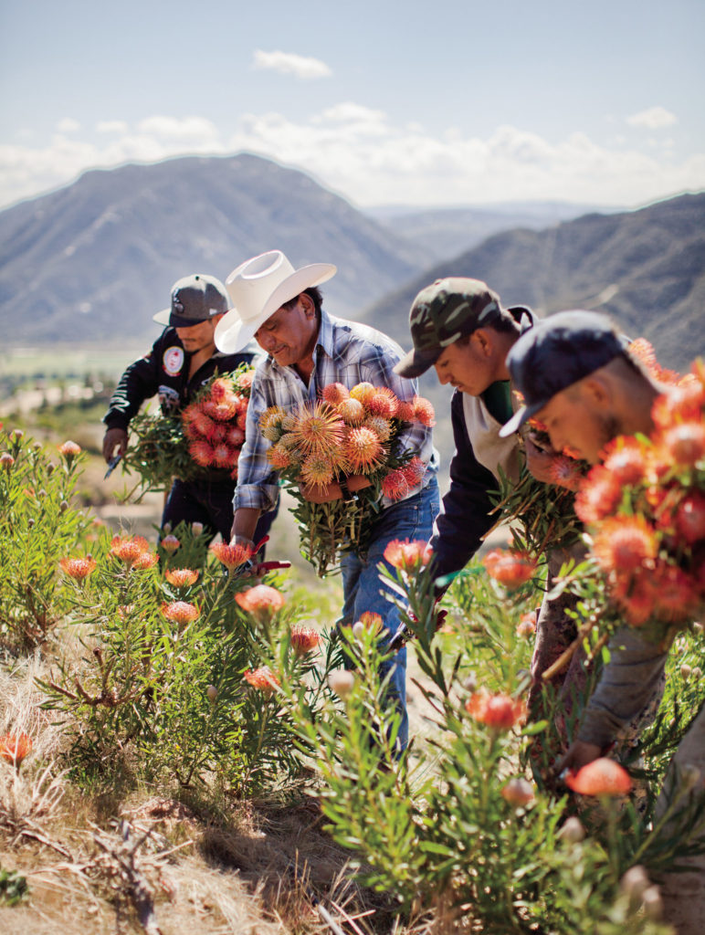 Celebrating The Ones Who Grow Our Food - Discover California Wines