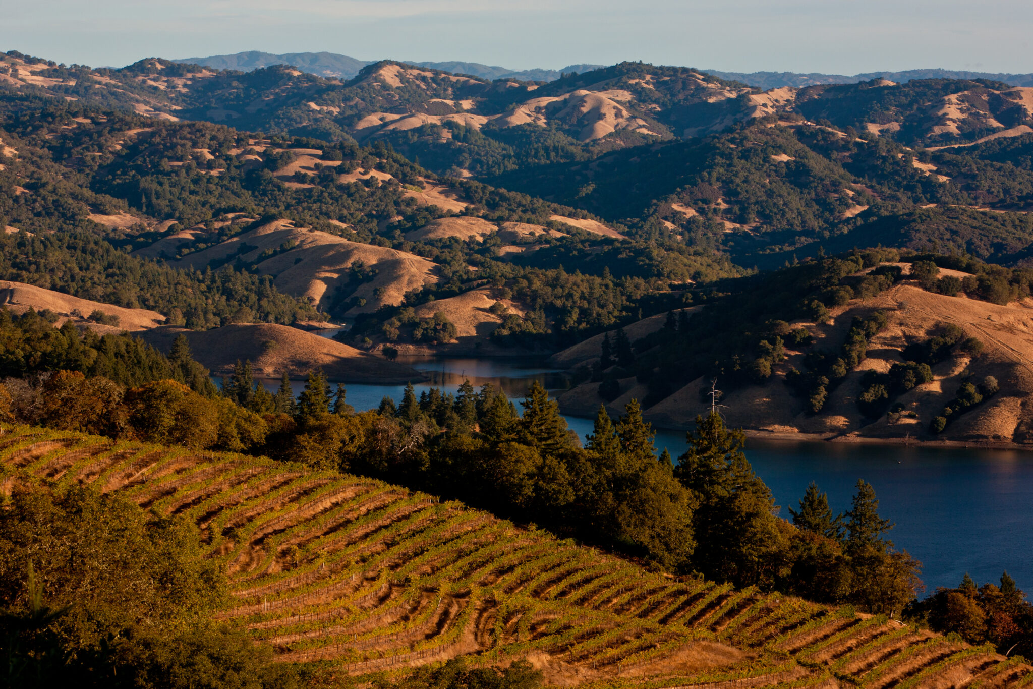 Famous Foods California is Known For - Discover California Wines