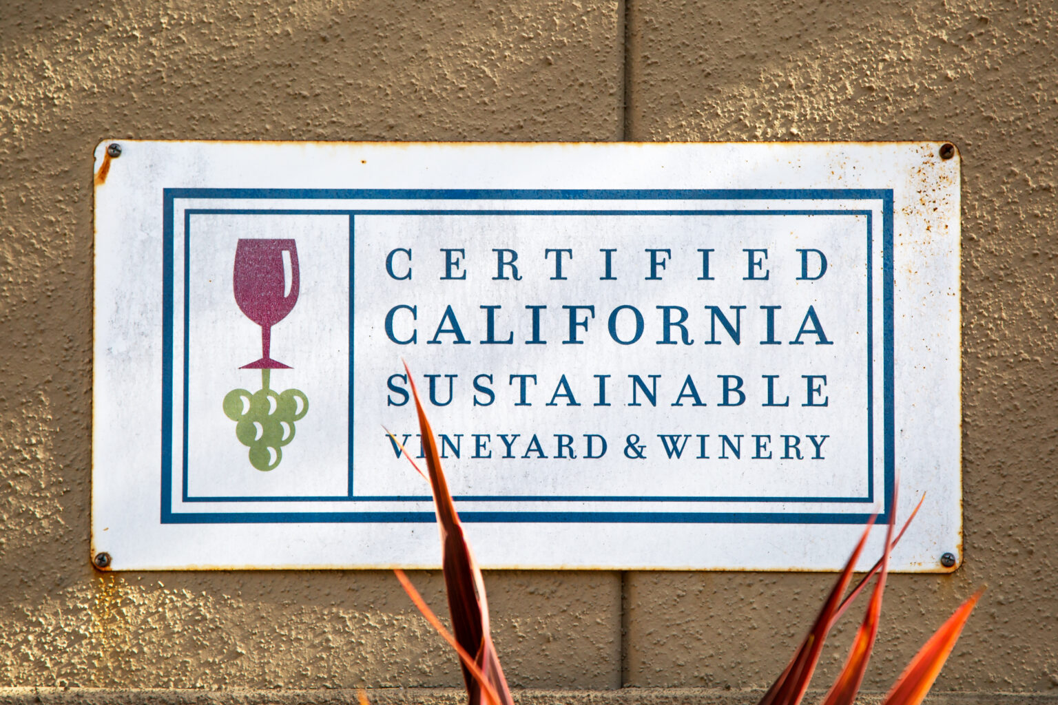 A Perfect Date with California Wine and Chocolate - Discover California ...