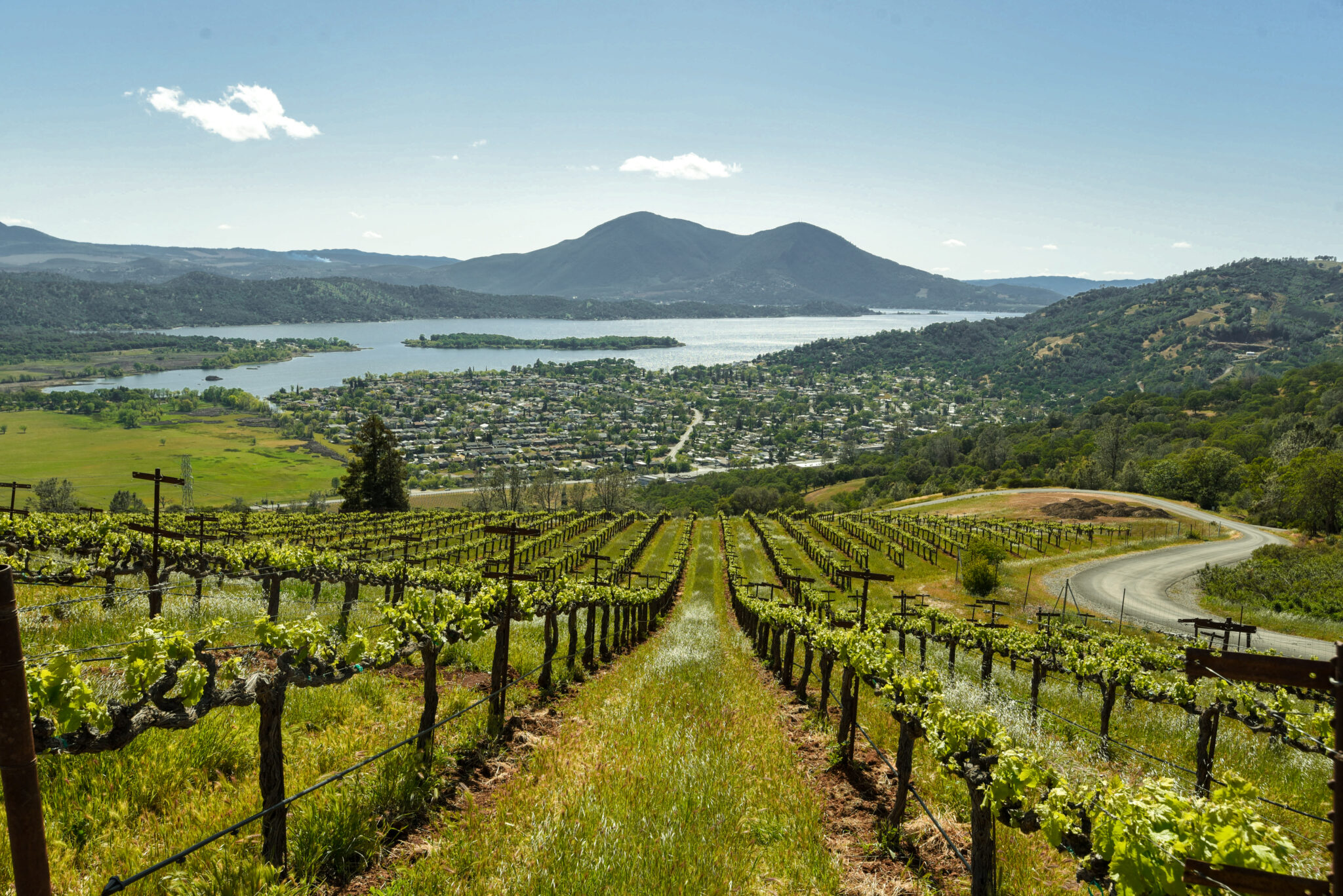 Famous Foods California is Known For - Discover California Wines